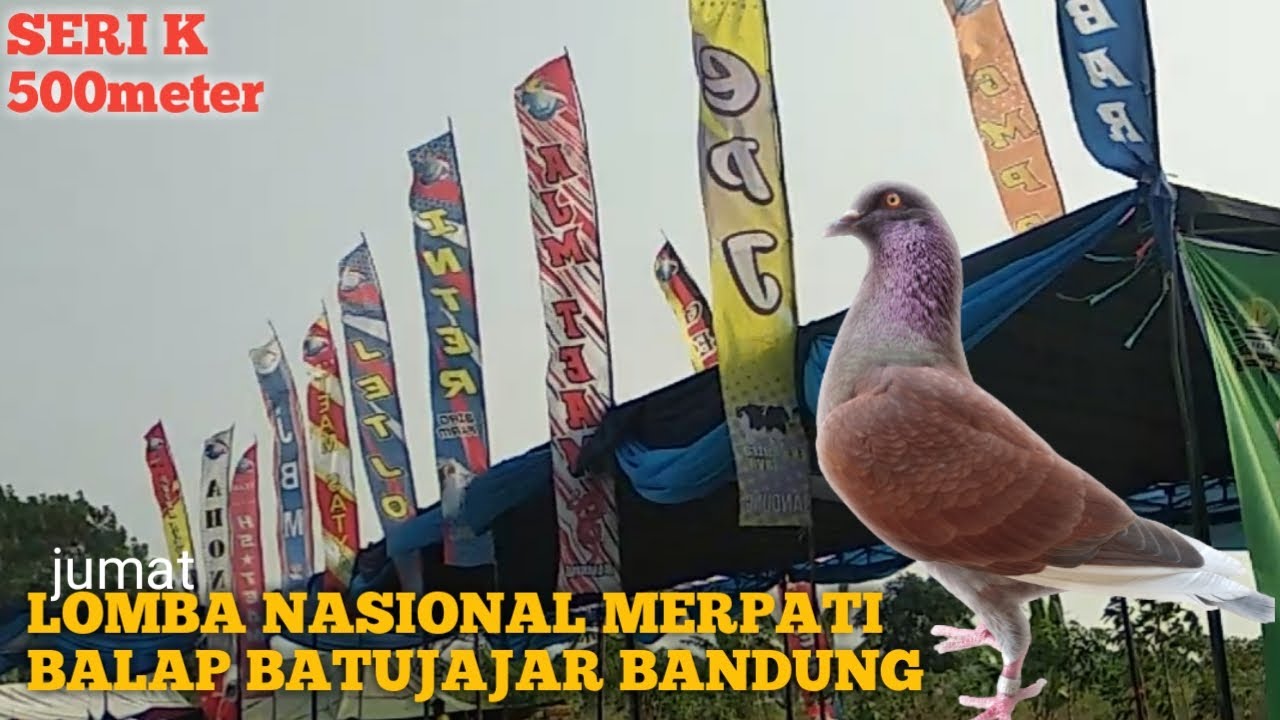 PART4 LOMBA MERPATI BALAP NASIONAL BANDUNG BATUJAJAR HARI JUMAT - YouTube