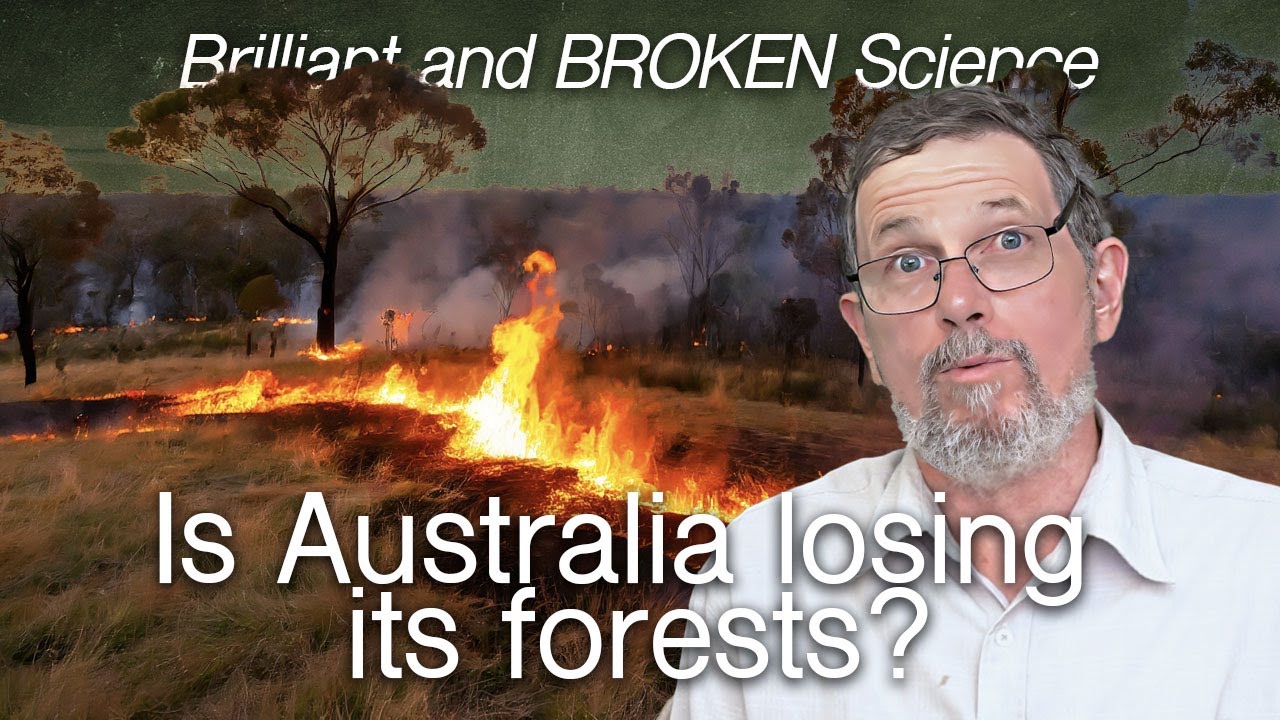 Is Australia losing its forests? Politically correct yes BUT... - YouTube
