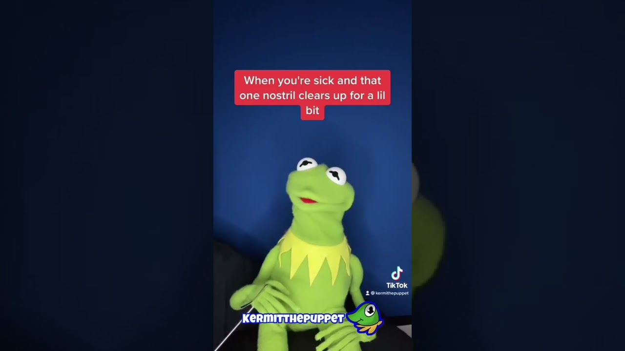 When your sick funny Tiktok memes with Kermit The Frog - YouTube