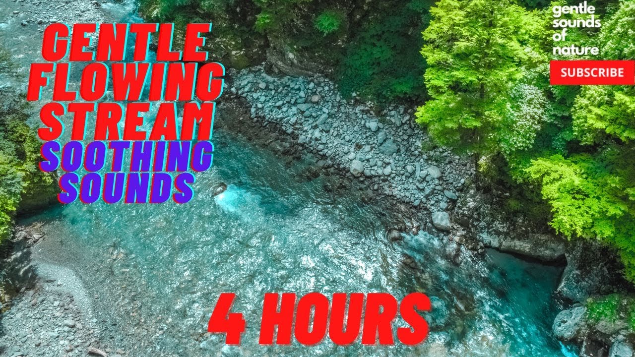 Gentle Flowing Stream (4 hours) - YouTube