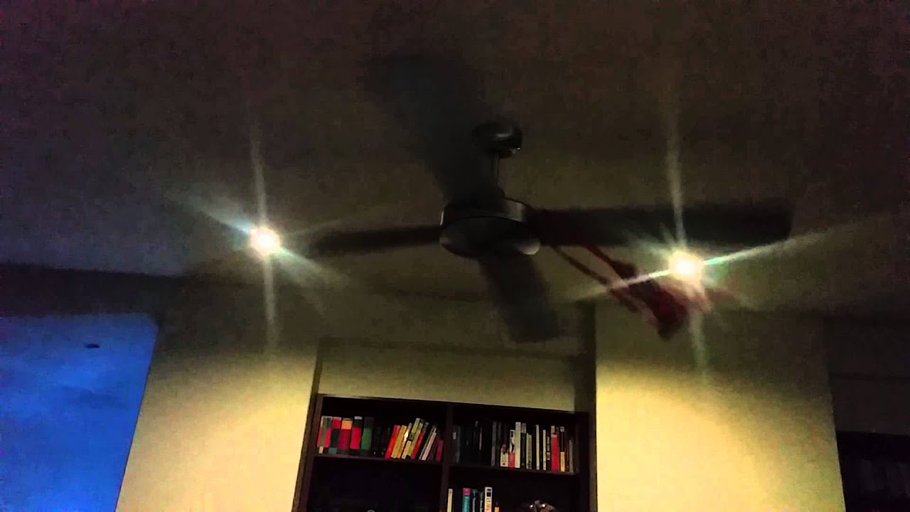 Elf on a fan - YouTube