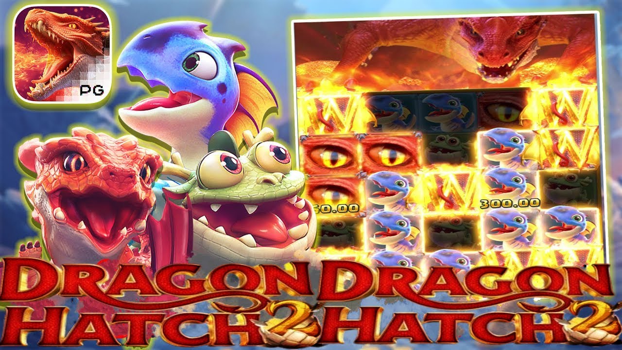 ARRISQUEI A BANCA TODA NO DRAGON HATCH2!!DEU BOM?!! - YouTube