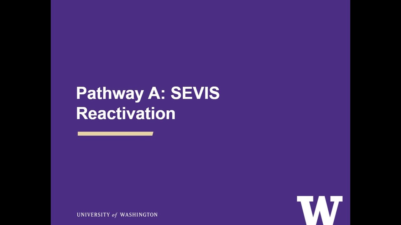Pathway A: SEVIS Reactivation - YouTube