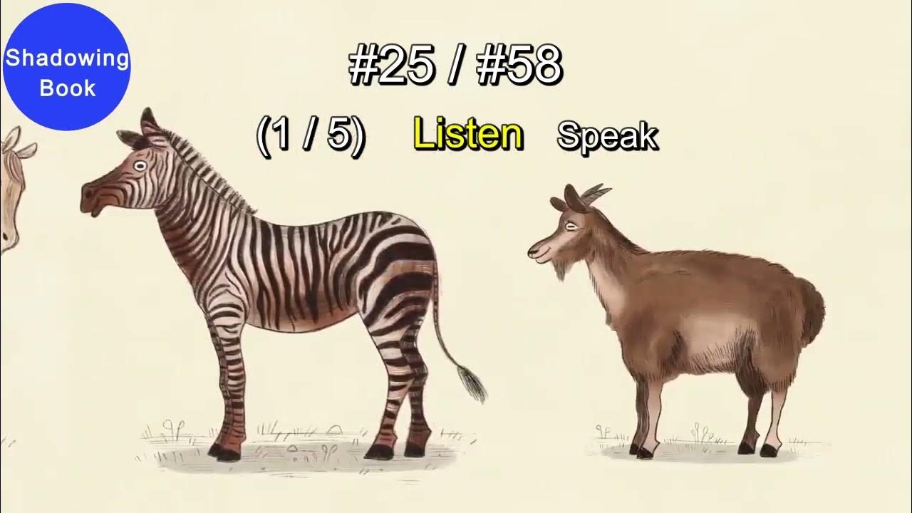 [ShadowingBook] Why do cats have vertical pupils? | TED-Ed - YouTube