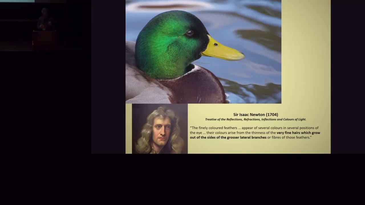 Dr Stephen Pringle - YouTube