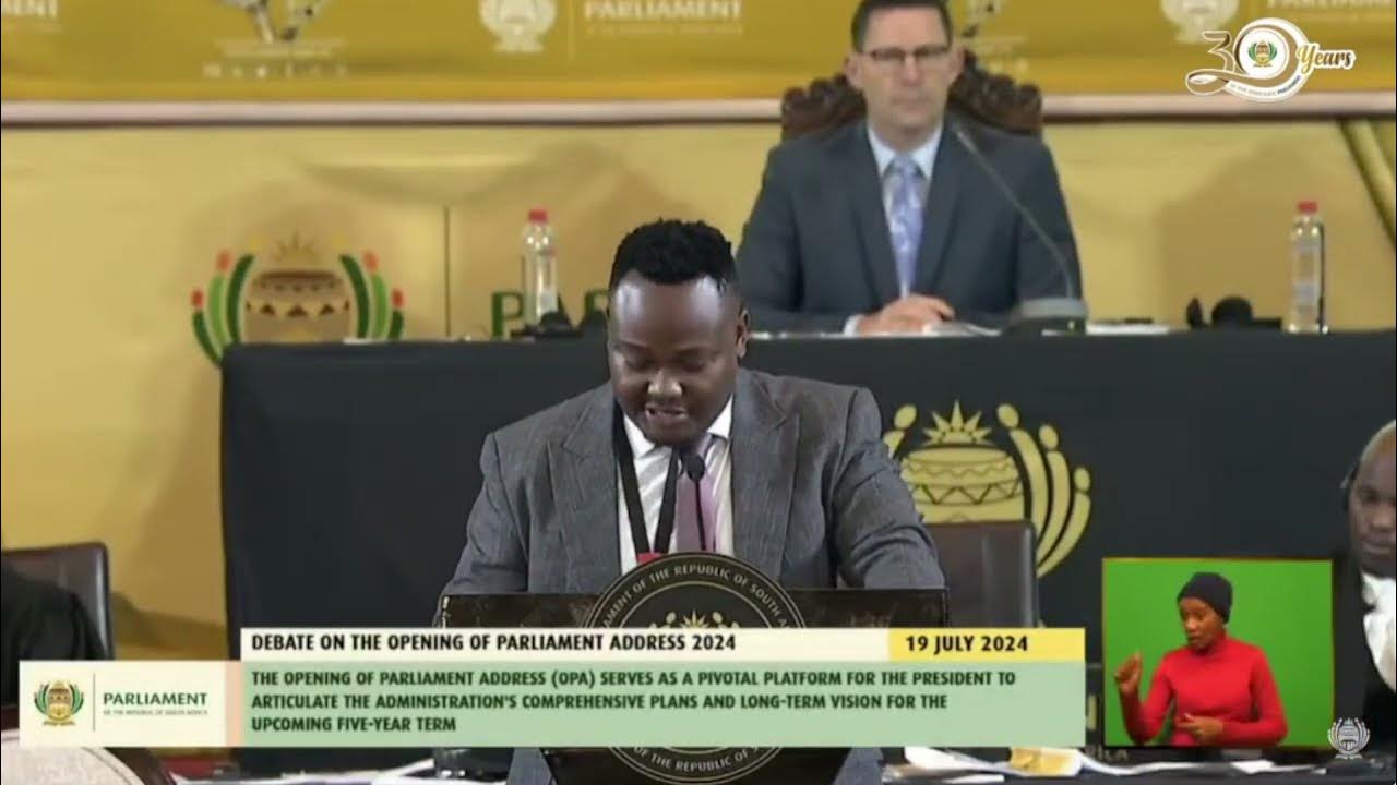 Watch Mzamo Billy MP pledges the DA's commitment to the Government of National Unity - YouTube