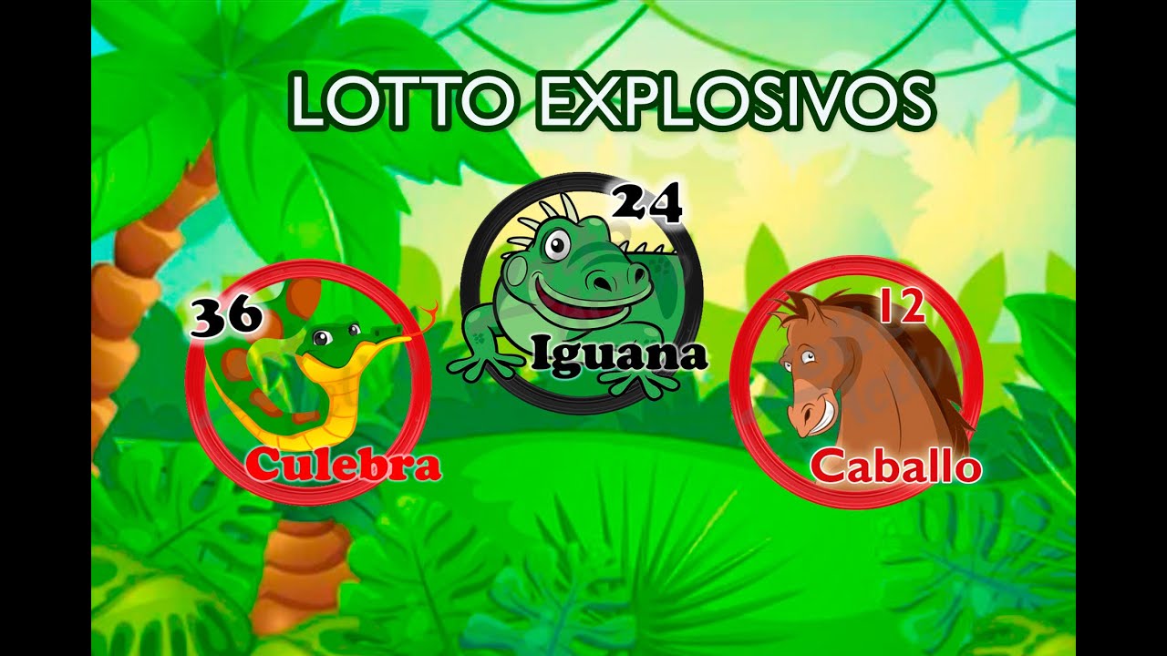 JUEVES 12-09-2024 DATOS LOTTO ACTIVO, GRANJITA, GUACHARO, SELVA PLUS ...