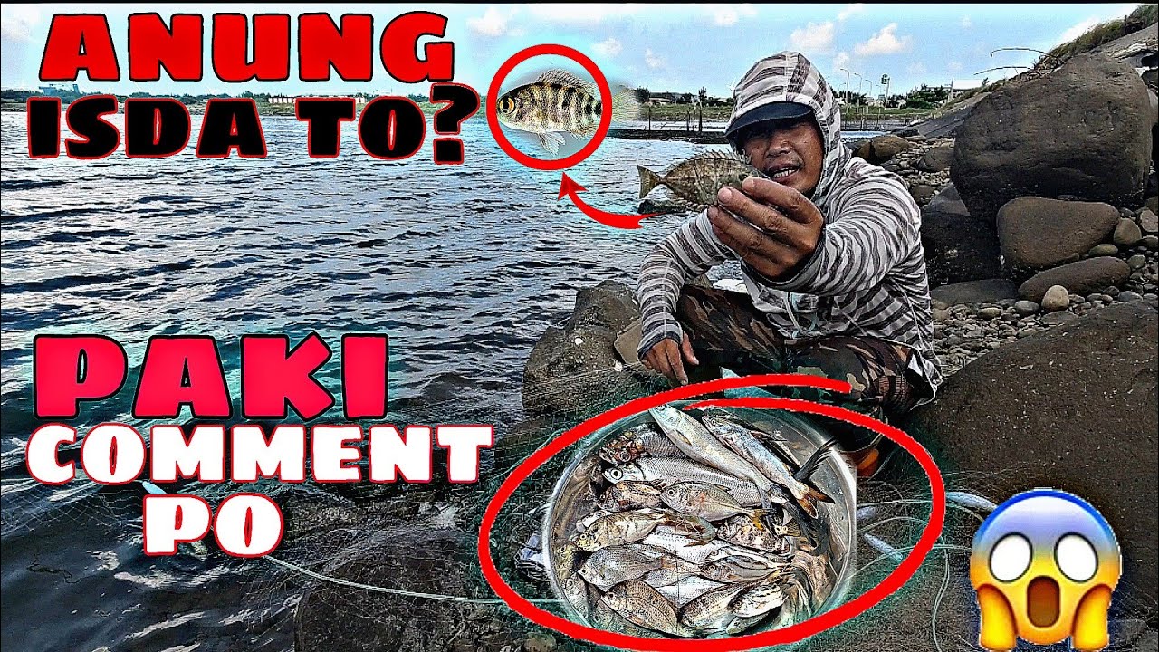 NGAYUN KULANG NAKITA ANG ISDANG DAGAT NATU PAKI COMMENT PO ANG PANGALAN ...