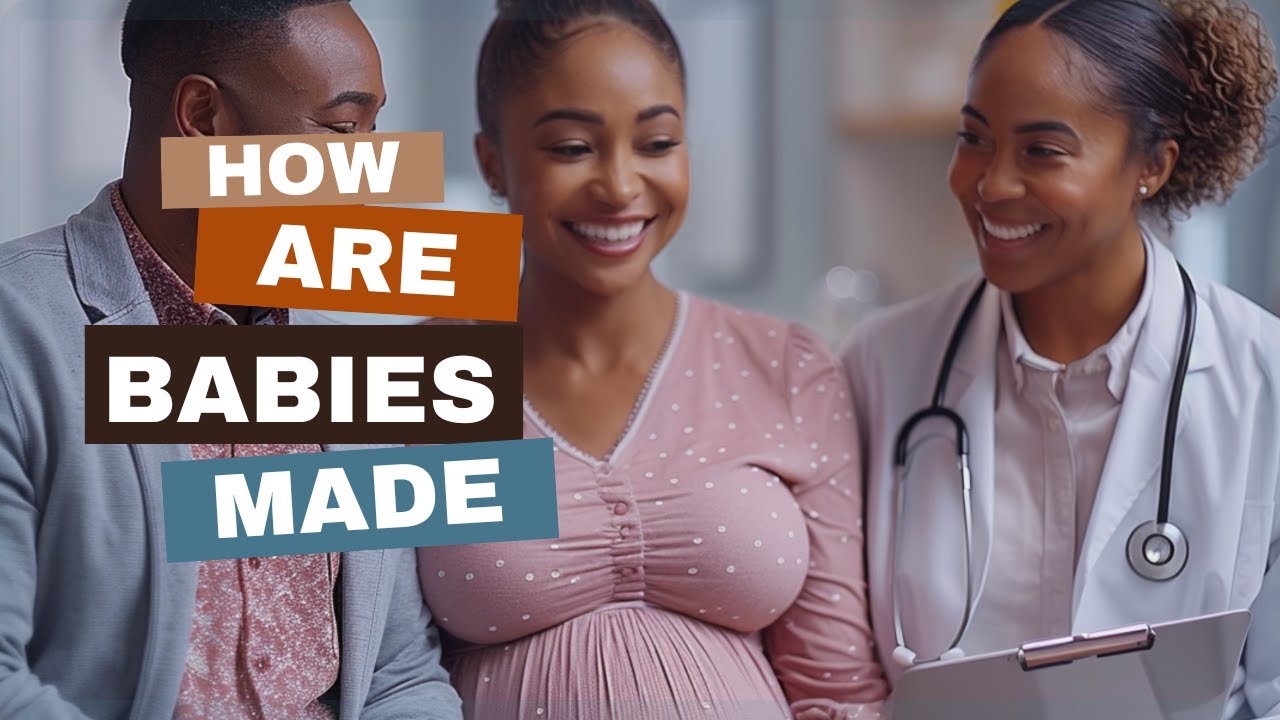 How Are Babies Made - YouTube