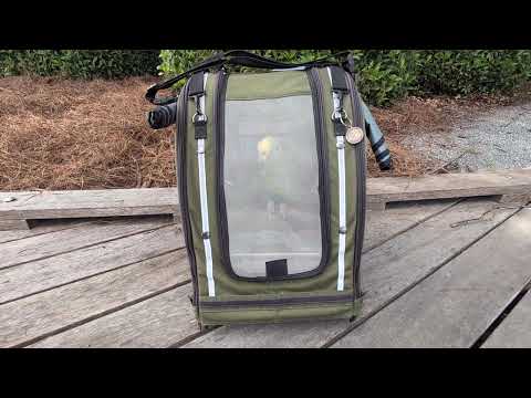 Freedom the Parrot by Spectacular Camphor Tree at Reiter Park! Longwood ...