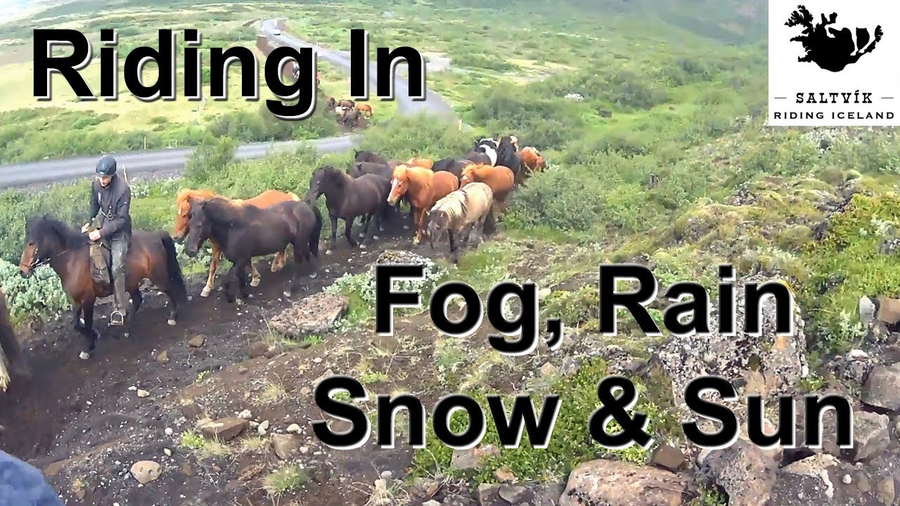Riding Day In Fog, Rain, Snow And Sun 🇮🇸 ! - YouTube