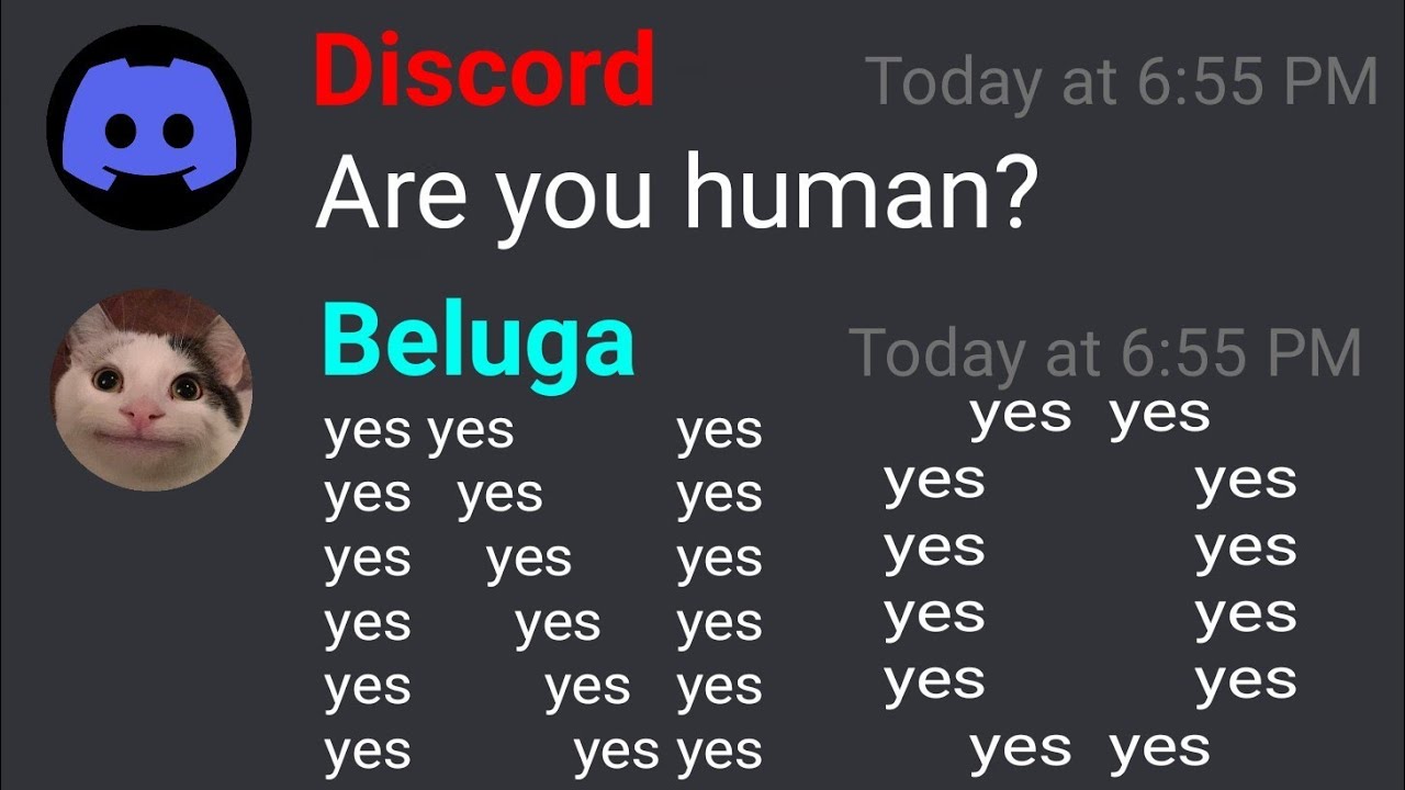 Beluga logging in to Discord... - YouTube