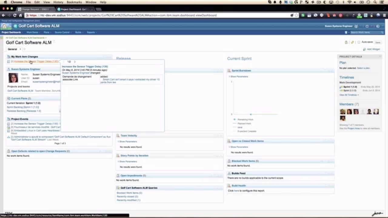 Assigning Defects to Team Members in RTC - YouTube