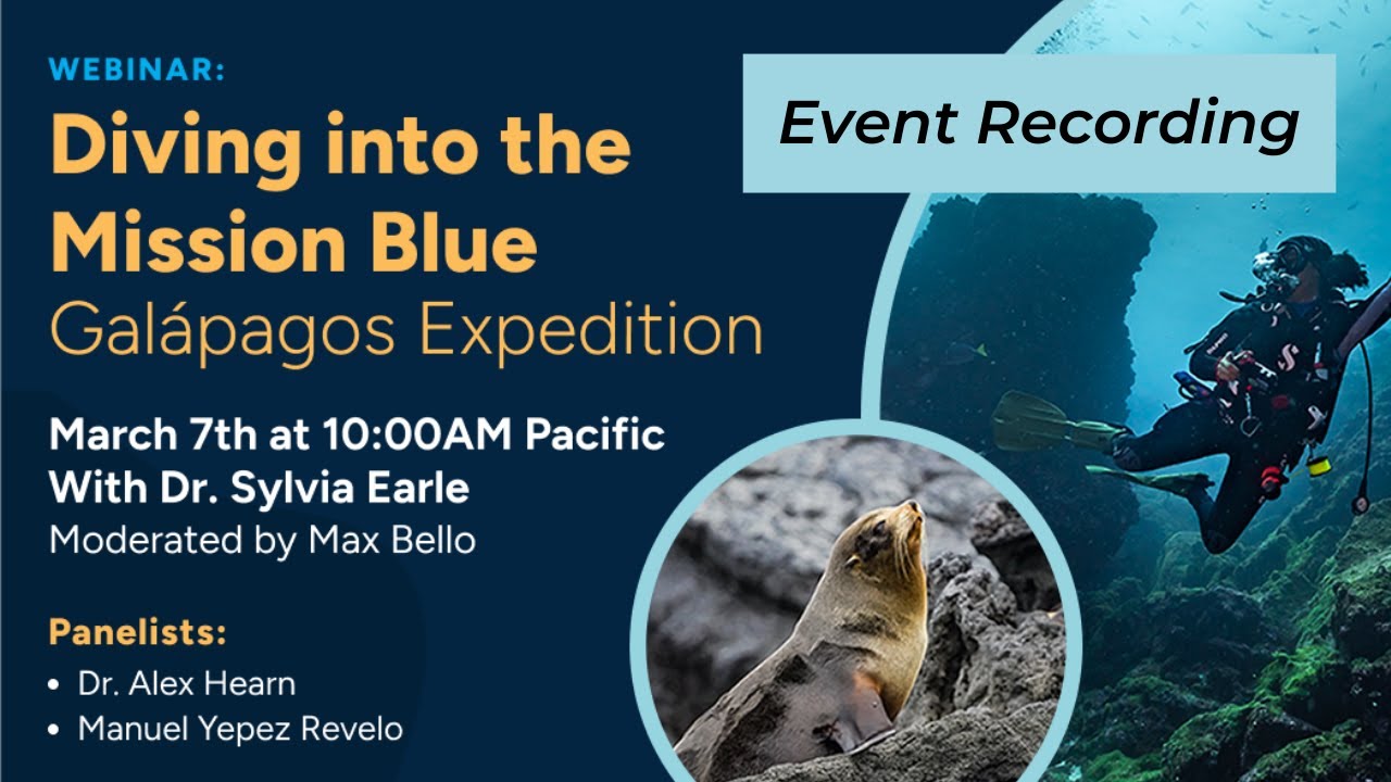 Recording: Diving into the Mission Blue Galapagos Expedition - YouTube