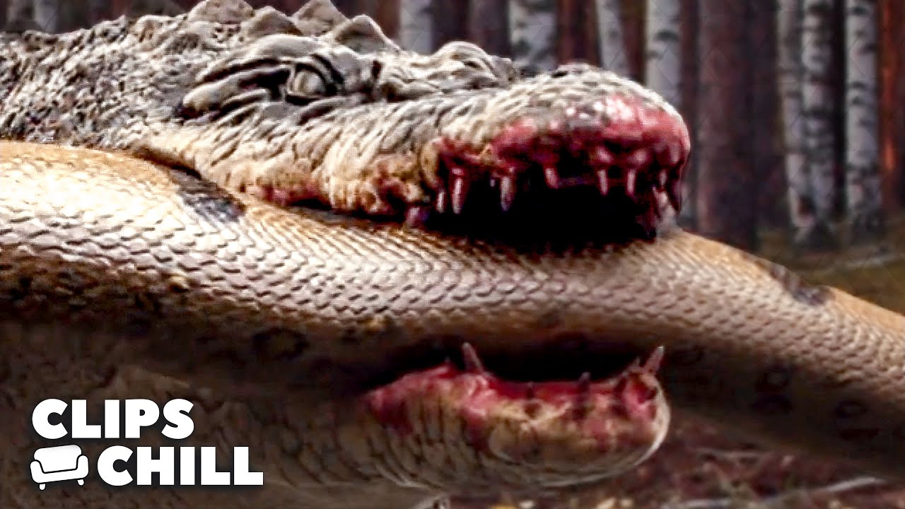 Nature’s Deadliest Creatures | Anaconda X Lake Placid Best Kill Scenes ...