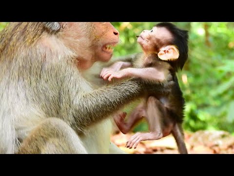 MOM ANGEL CATCH BABY UP AND UNHAPPY TALK TO BABY ARIA. ARIA VERY SCARED.