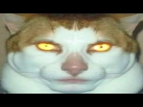 You didn’t have to cut me off meme compilation (low quality memes ...