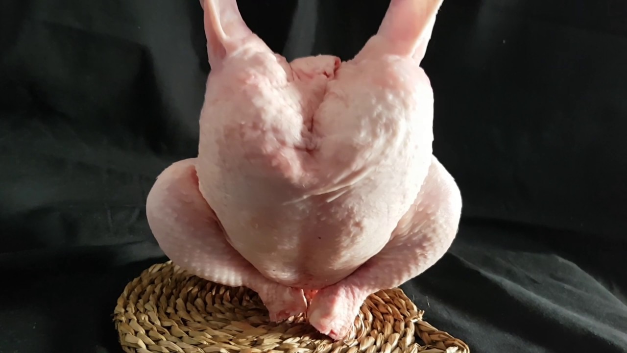 El baile del pollito pollo pio pio video Dos hermanas - YouTube