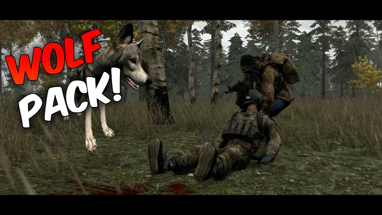 PACK OF WOLVES! - DayZ Standalone: 0.61 Gameplay - YouTube