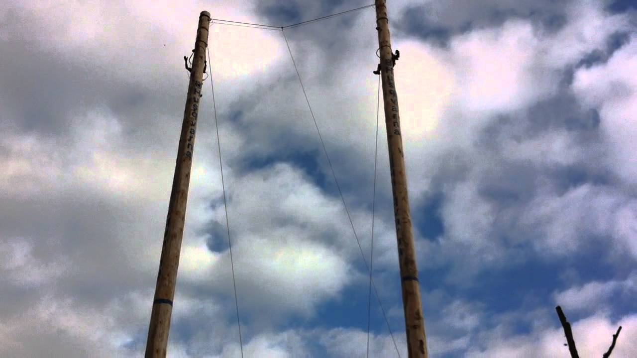 tree spiking - YouTube