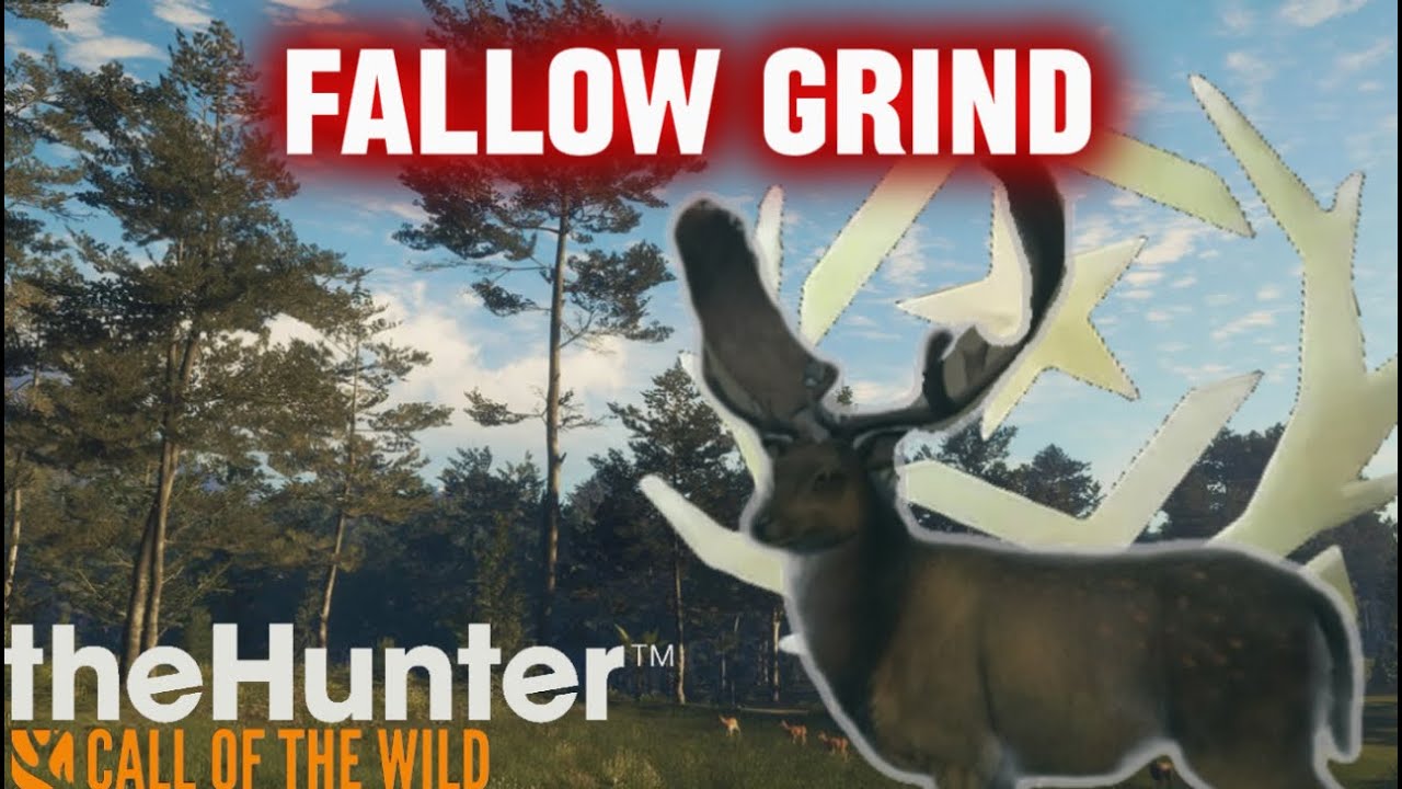 Fallow Great One Grind Live! - YouTube