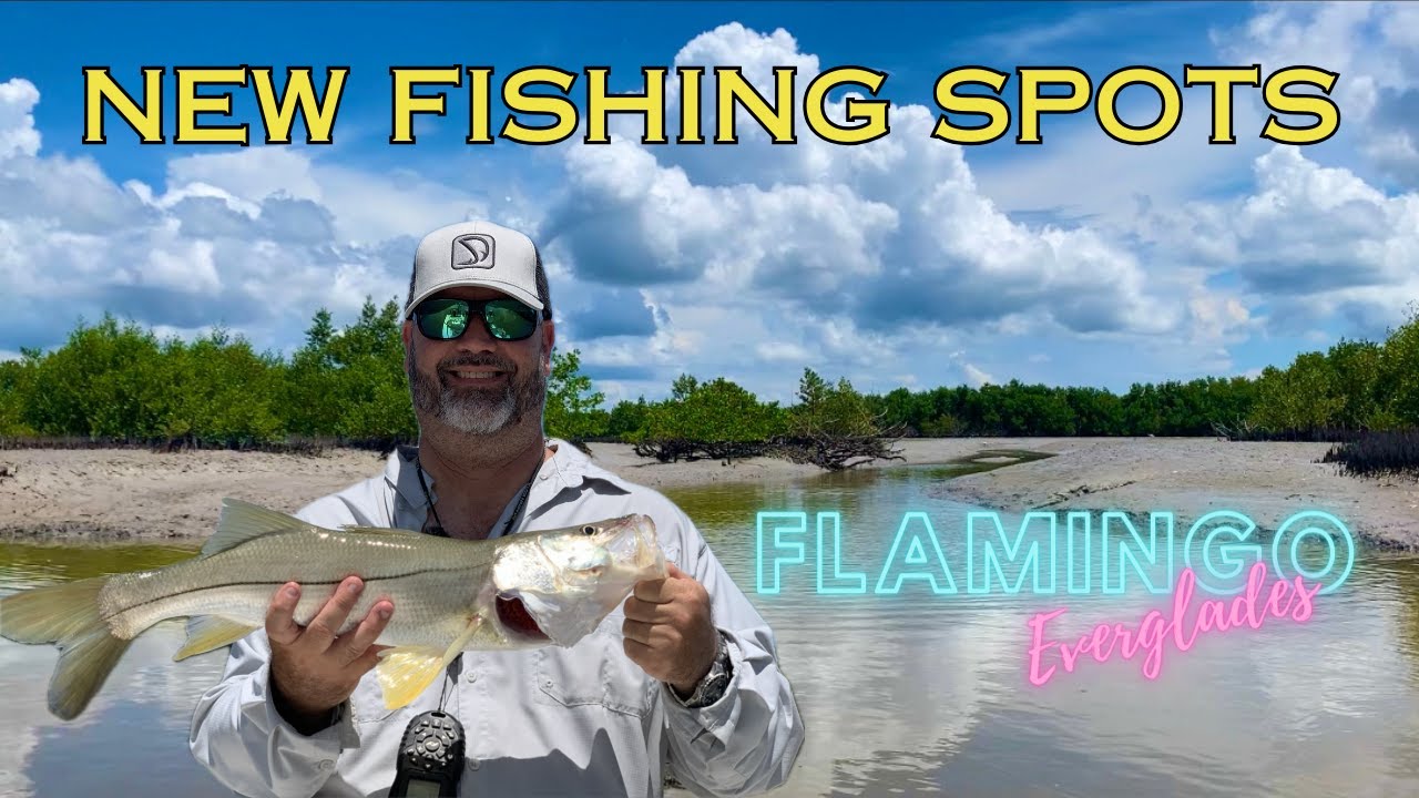 Discovering NEW fishing spots in Flamingo Everglades - Snook, Trout ...