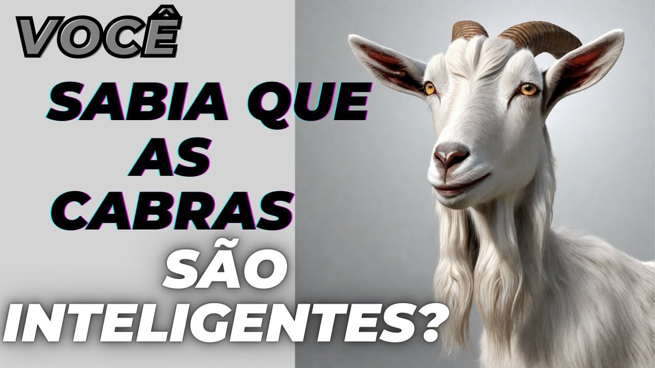 A incrível inteligência das cabras, fatos impressionantes #curiosidades ...