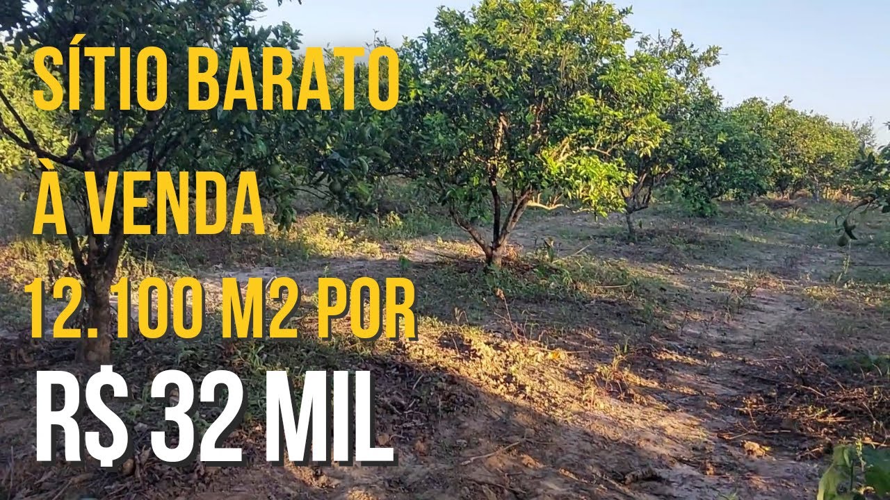 ELE PRECISA VENDER ESSE S TIO URGENTEMENTE S TIO BARATO VENDA TERRA