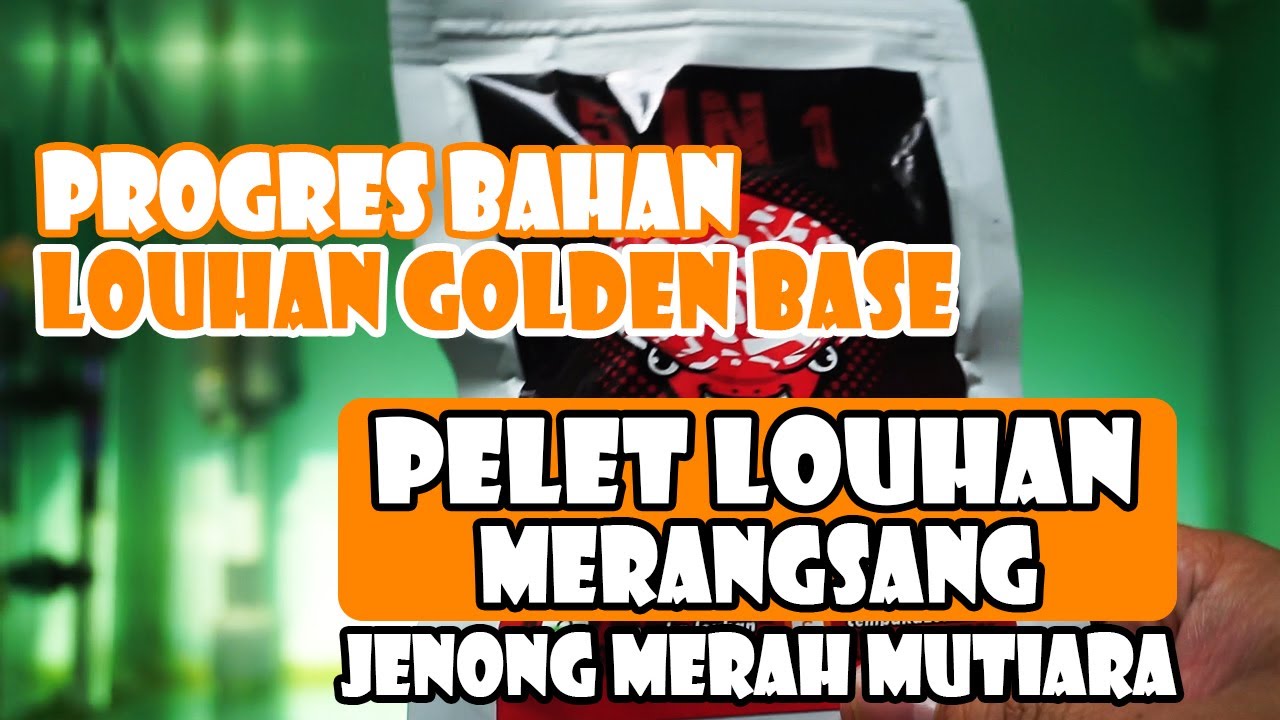 Progres Louhan Golden Base Menggunakan Pelet Louhan Untuk Merangsang ...