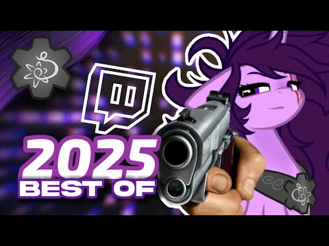LE MIGLIORI CLIP DEL 2025 | SingalekSMW