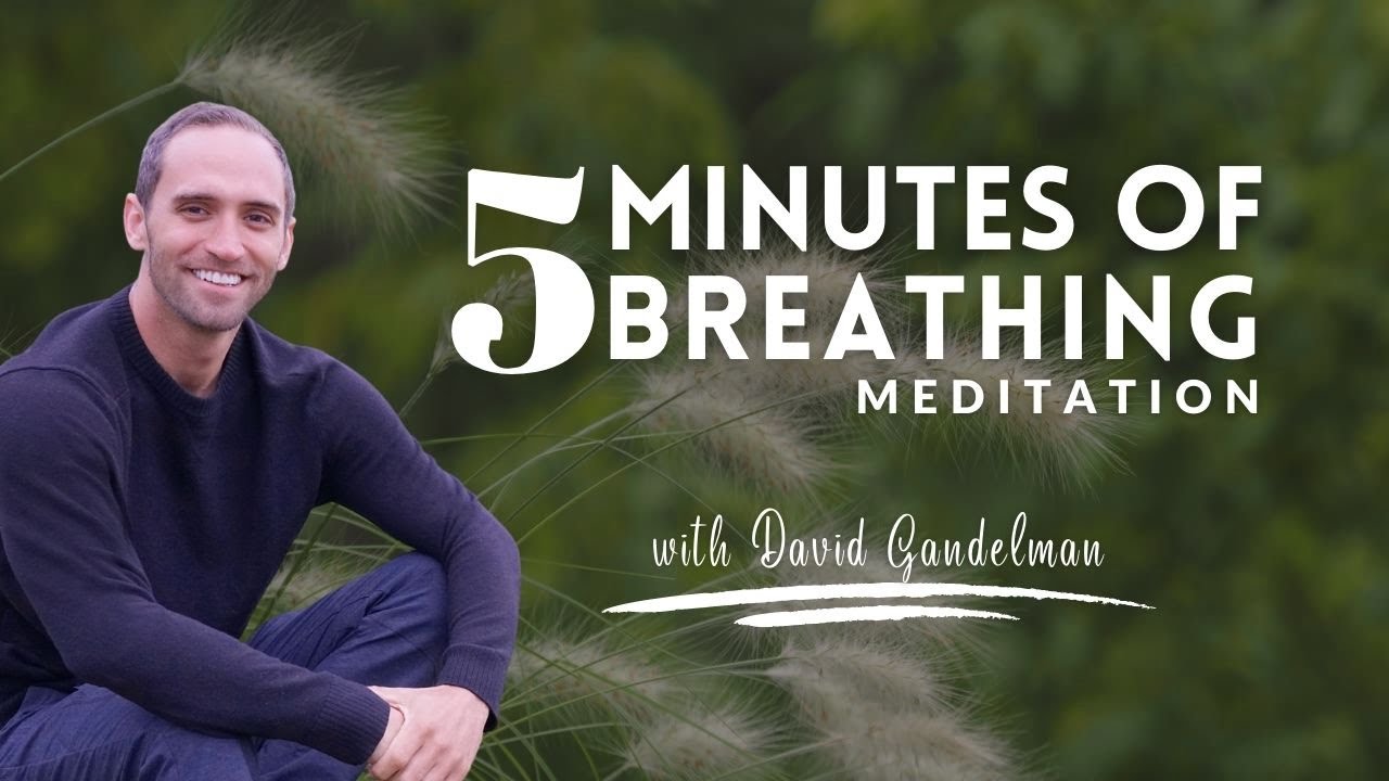 5 Minutes of Breathing Meditation - YouTube