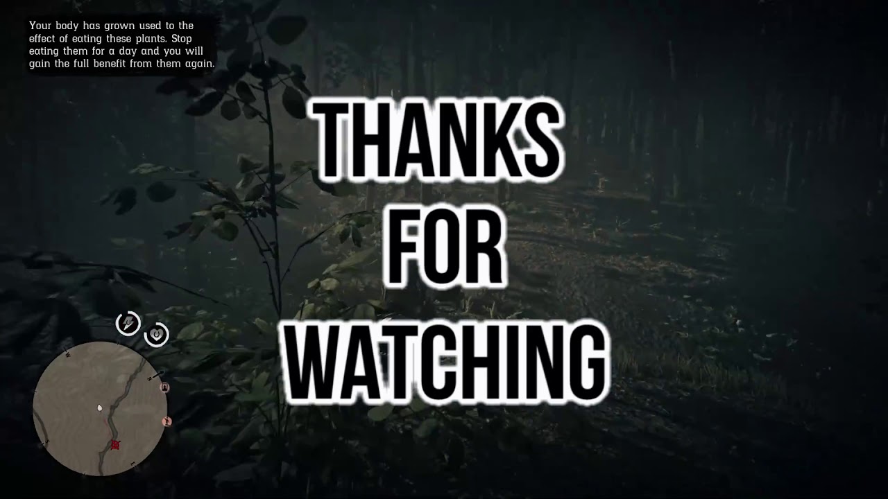 Red Dead Redemption 2 Online - 5 Hummingbird Sage Picked | Daily ...