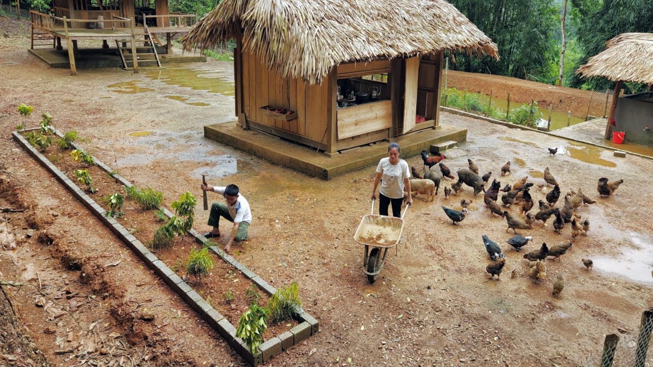 Help my wife build a super beautiful tropical flower garden, farm life ...