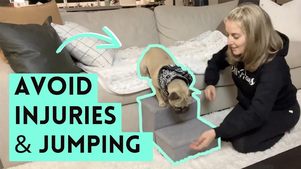 My Simple Training Method I Used for Avoiding Injuries and Jumping Off ...