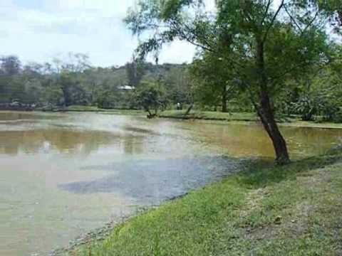 Jaguey Hidalgo Tantoyuca - YouTube