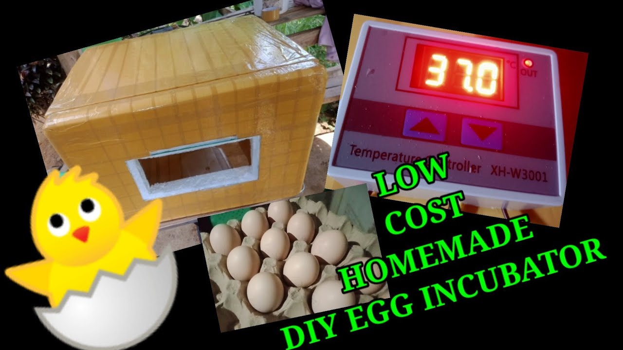 LOW COST HOMEMADE DIY EGG INCUBATOR PART 2 |@agripinoy27 - YouTube