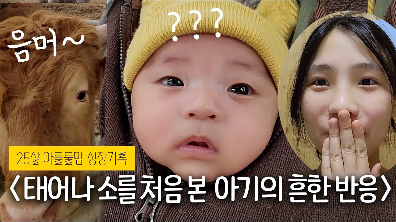 25살 엄마의 형제 육아 브이로그👩👦👦ㅣ 슈퍼맘🦸♀️ㅣ여성농업인👩🌾ㅣ시골육아🌱ㅣ힐링브이로그ㅣ공동육아ㅣ형제브이로그ㅣ축산업ㅣ