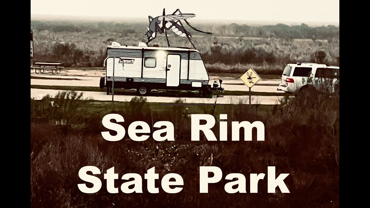Sea Rim State Park - "Never Again "Honest Review - YouTube