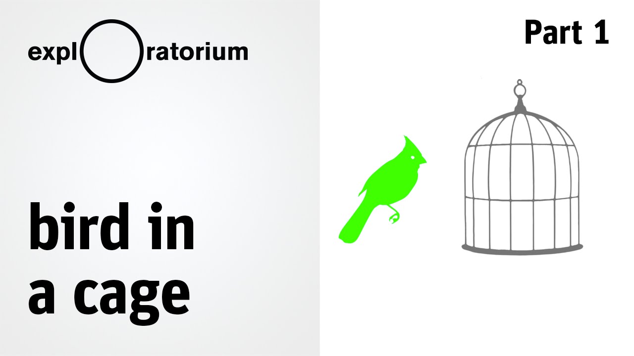 What's an afterimage? Experience it for yourself - Science Snacks ...