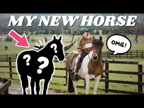 I Have a New Horse!
