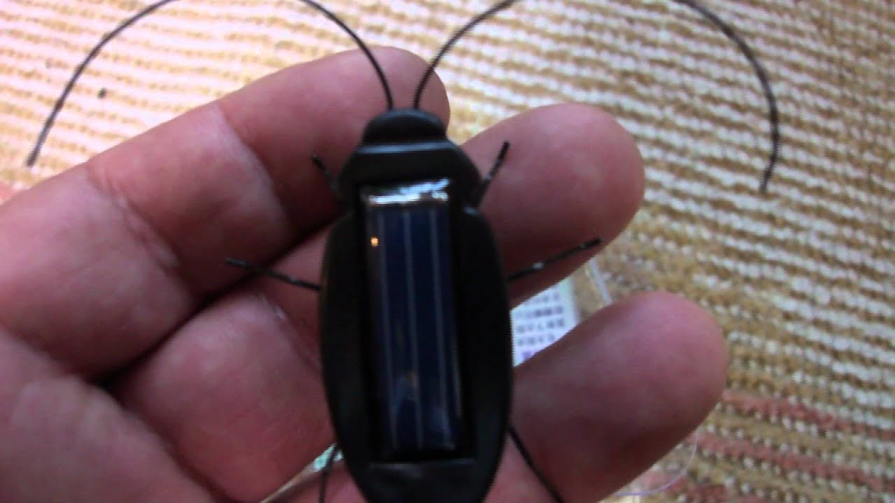 Solar Cockroach 太陽電池で動くゴキブリ!! - YouTube