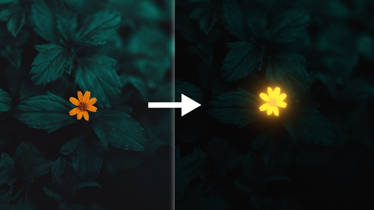 Glow Effect on Flower in Photoshop | Glow Effect Tutorial | # ...