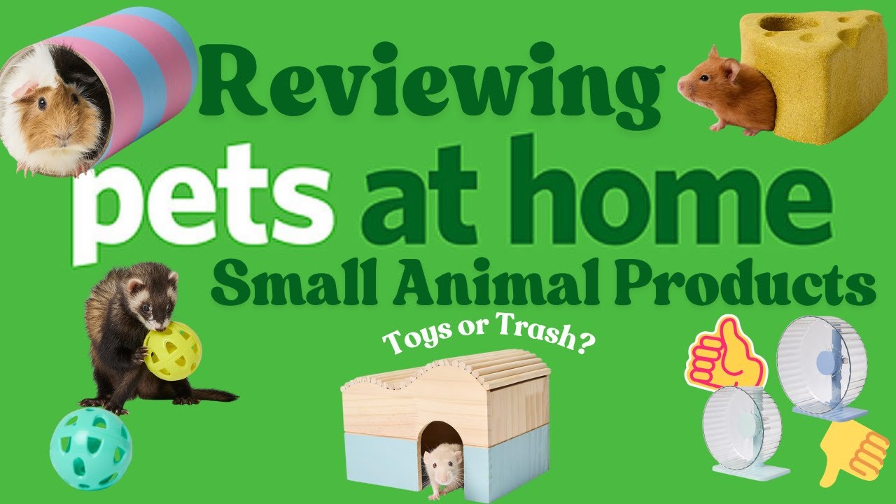 Pets at Home Small Animal Products Review – Are They Worth It? - YouTube