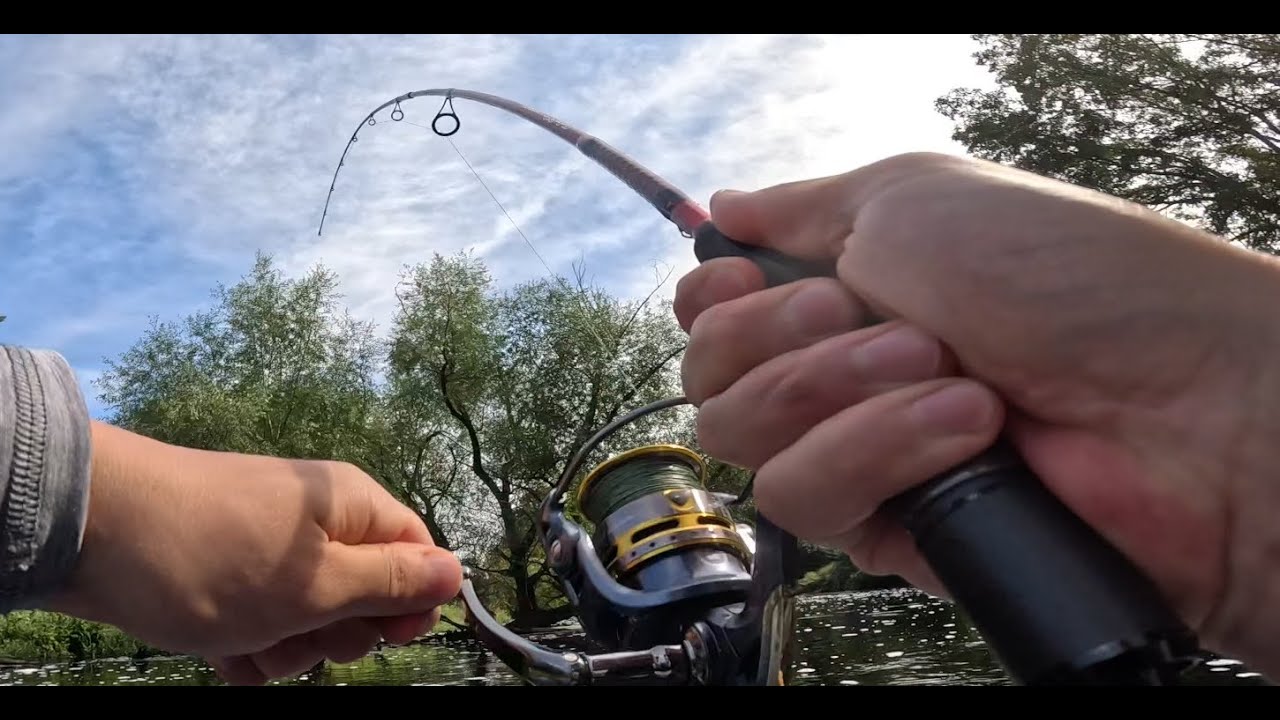 Fishing The Charles River (MA) for whatever bites (Kayak Fishing ...