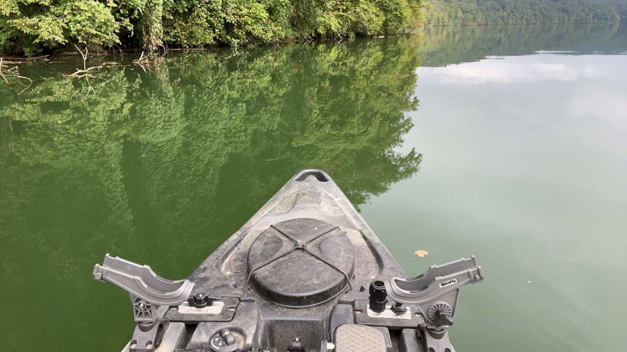 Livestream | Ultralight Fishing with Gulp Minnows - YouTube