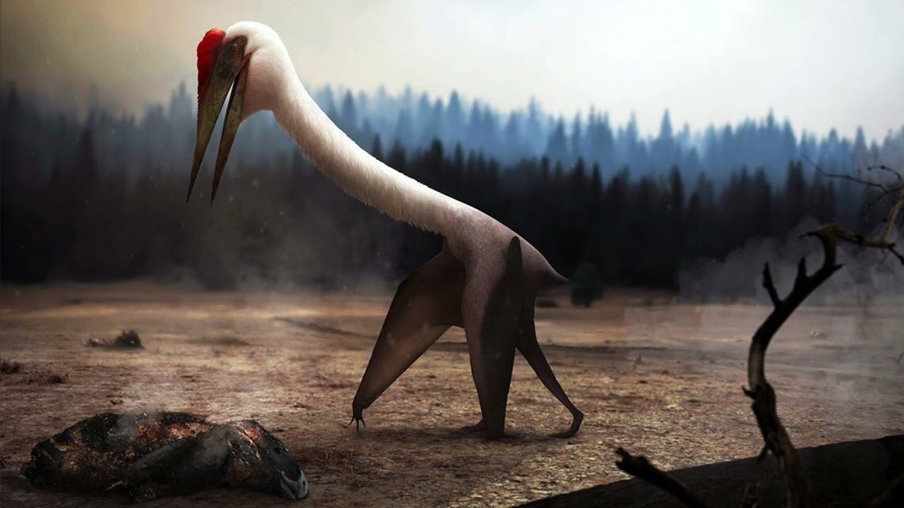 Realistic Quetzalcoatlus Sounds - YouTube