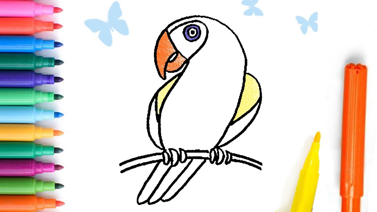 Parrot drawing step by step easy | Parrot in coloring draw | Art for ...