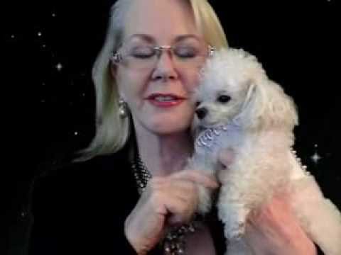 Jennifer Angel FALL FASHION Report 2013 MistressOfAstrology - YouTube