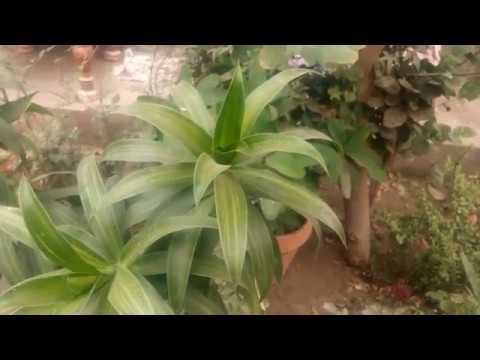 LG G3 UHD test video capture