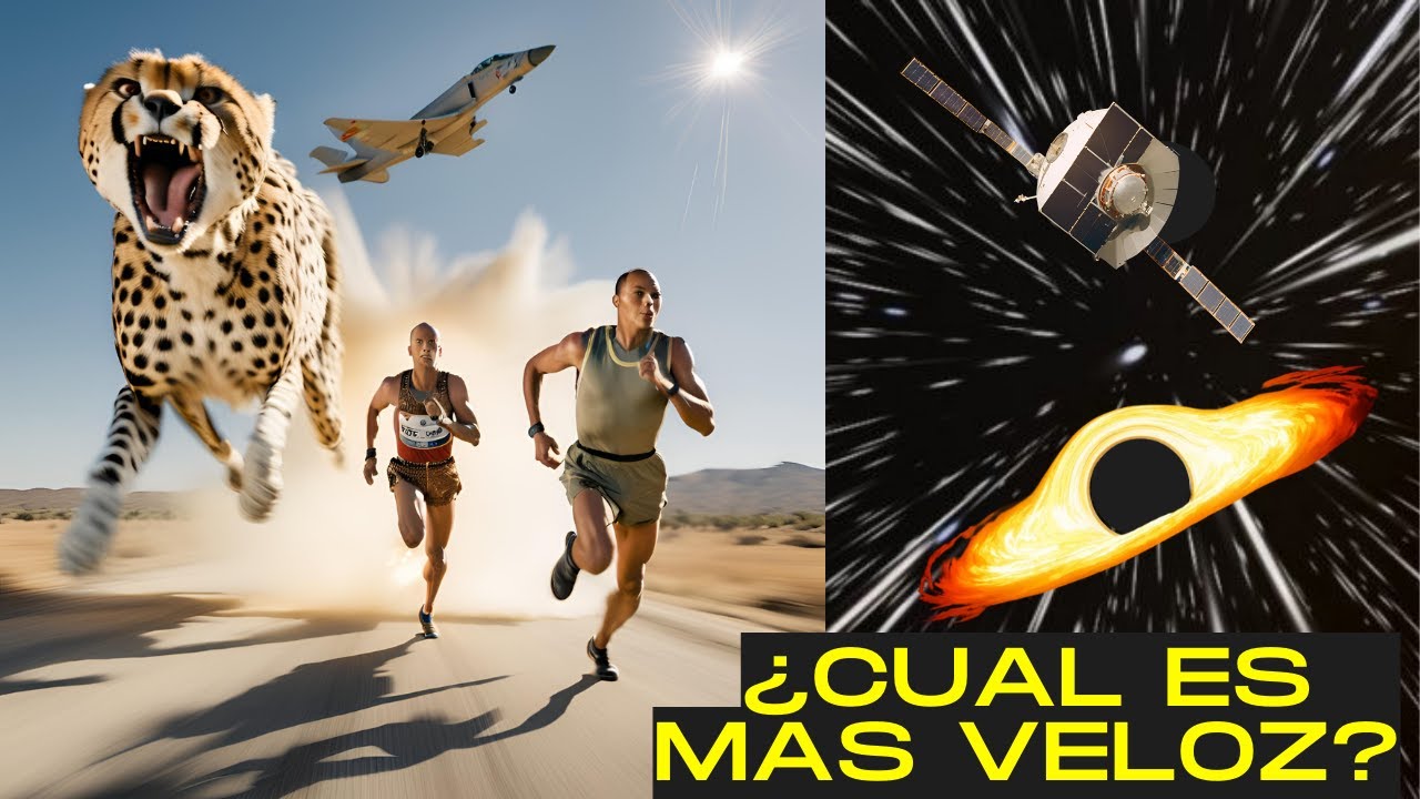 Las COSAS Más RAPIDAS del MUNDO y del UNIVERSO - YouTube